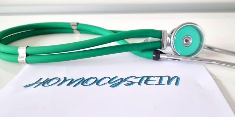 Homocystein: Alle Infos im Überblick - Kosmetikfuchs Magazin
